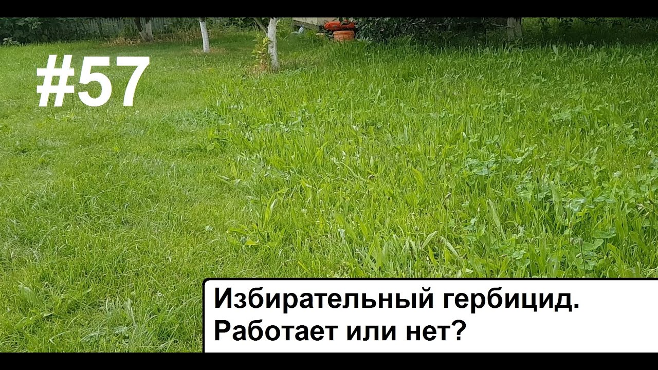 Избирательный гербицид. - YouTube