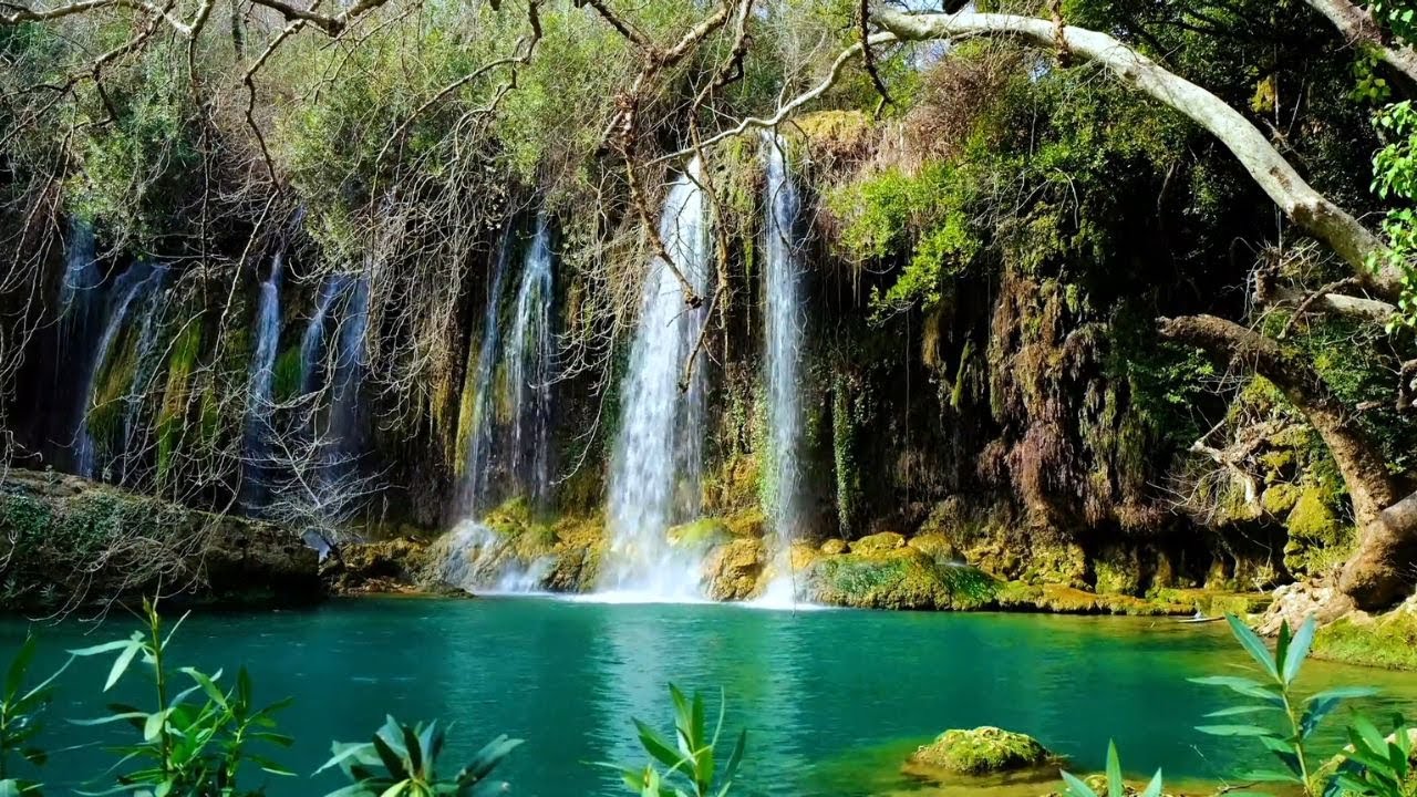 Soothing Waterfall Sounds for Sleep | Relaxing Nature Ambiance - YouTube