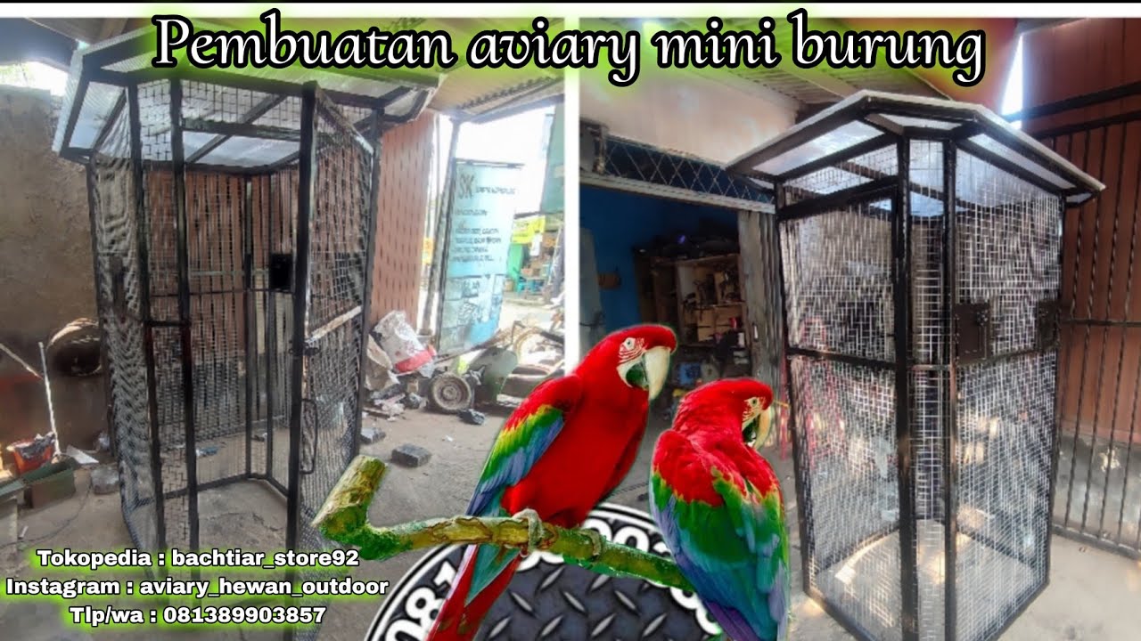 KANDANG AVIARY BURUNG OUTDOOR/INDOOR MODEREN - YouTube
