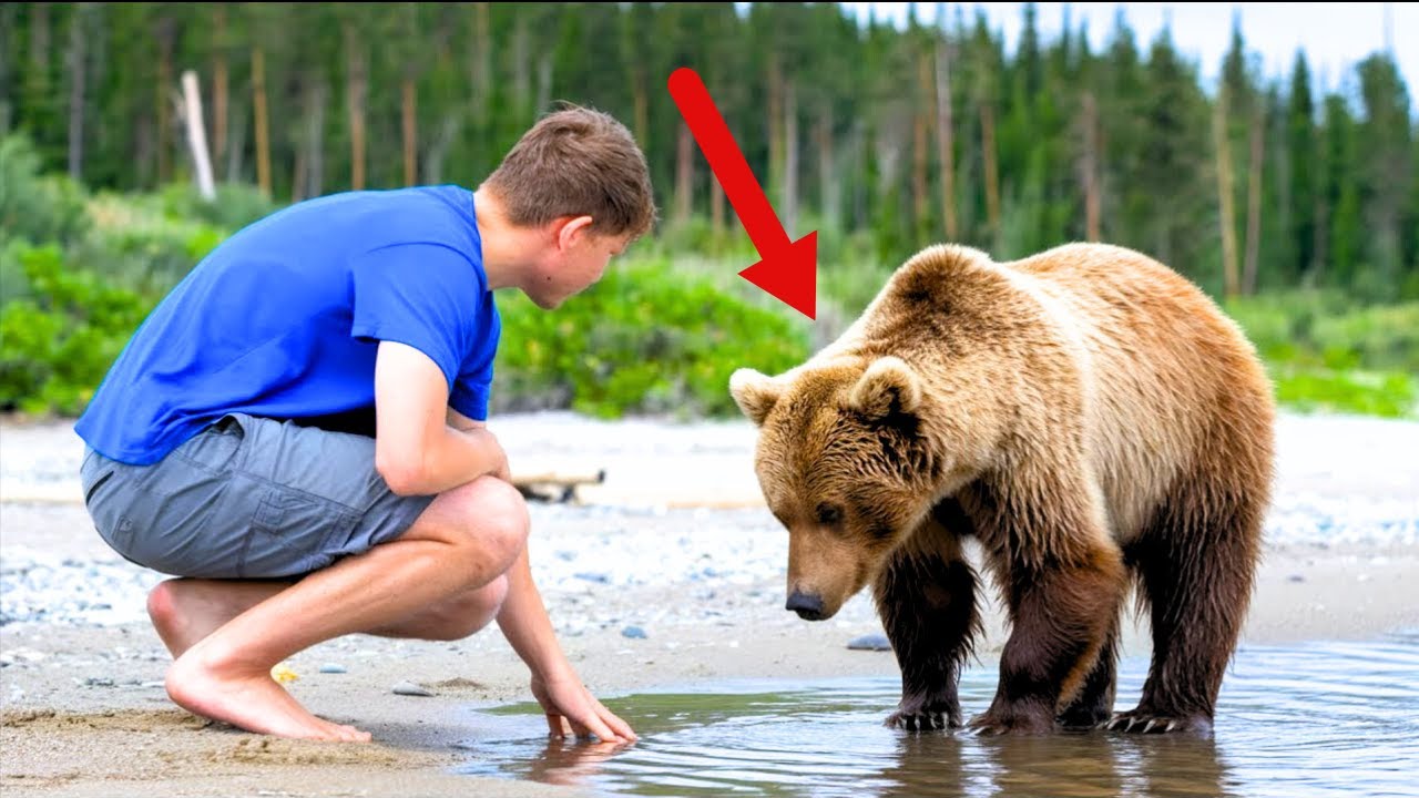 This Dying Bear Cried for Help, What Happened Next Is Unbelievable ...