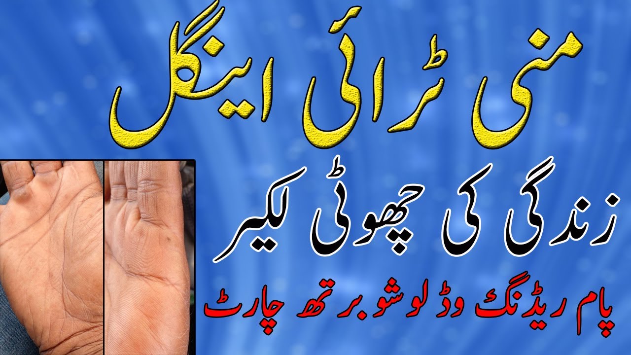 SHORT LIFE LINE _ MONEY WEALTH LINES _ LUCKY MALE PALM READING WITH ...