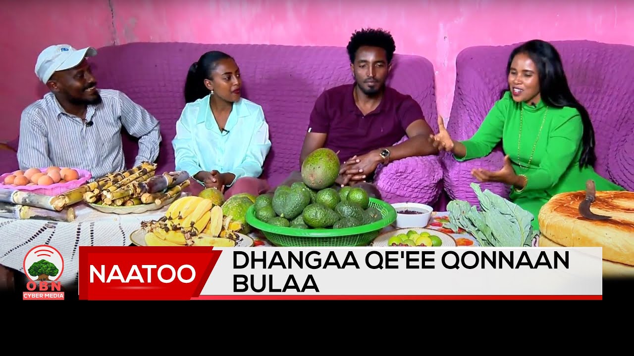 Qe'ee Qotee Bulaa - YouTube