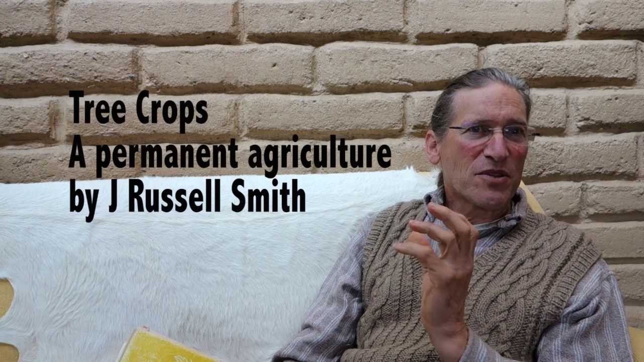 Holmgren reviews one of Permaculture's classic books: Tree Crops by J ...