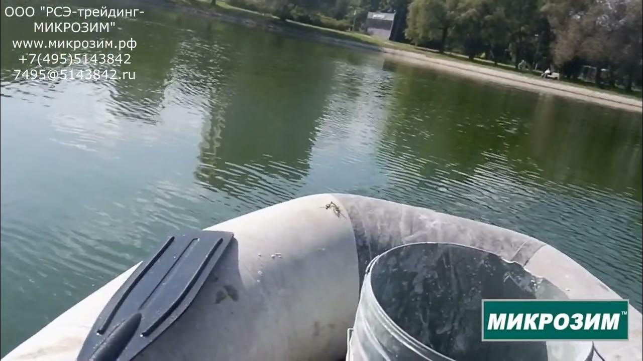 Погибший пруд + биопрепарат Микрозим Понд Трит. Отзывы. Борьбы с ...