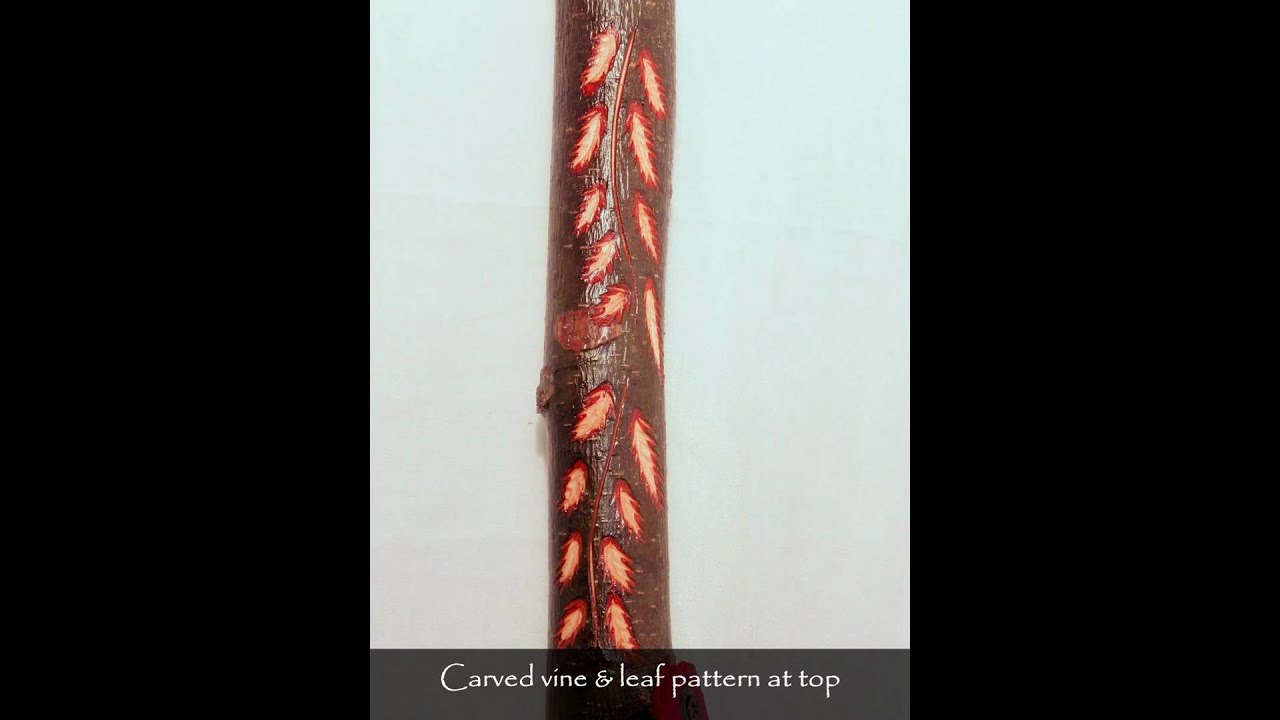 Carved Vine & Leaf Walking Stick by Spirit Creek Walking Sticks..."The ...