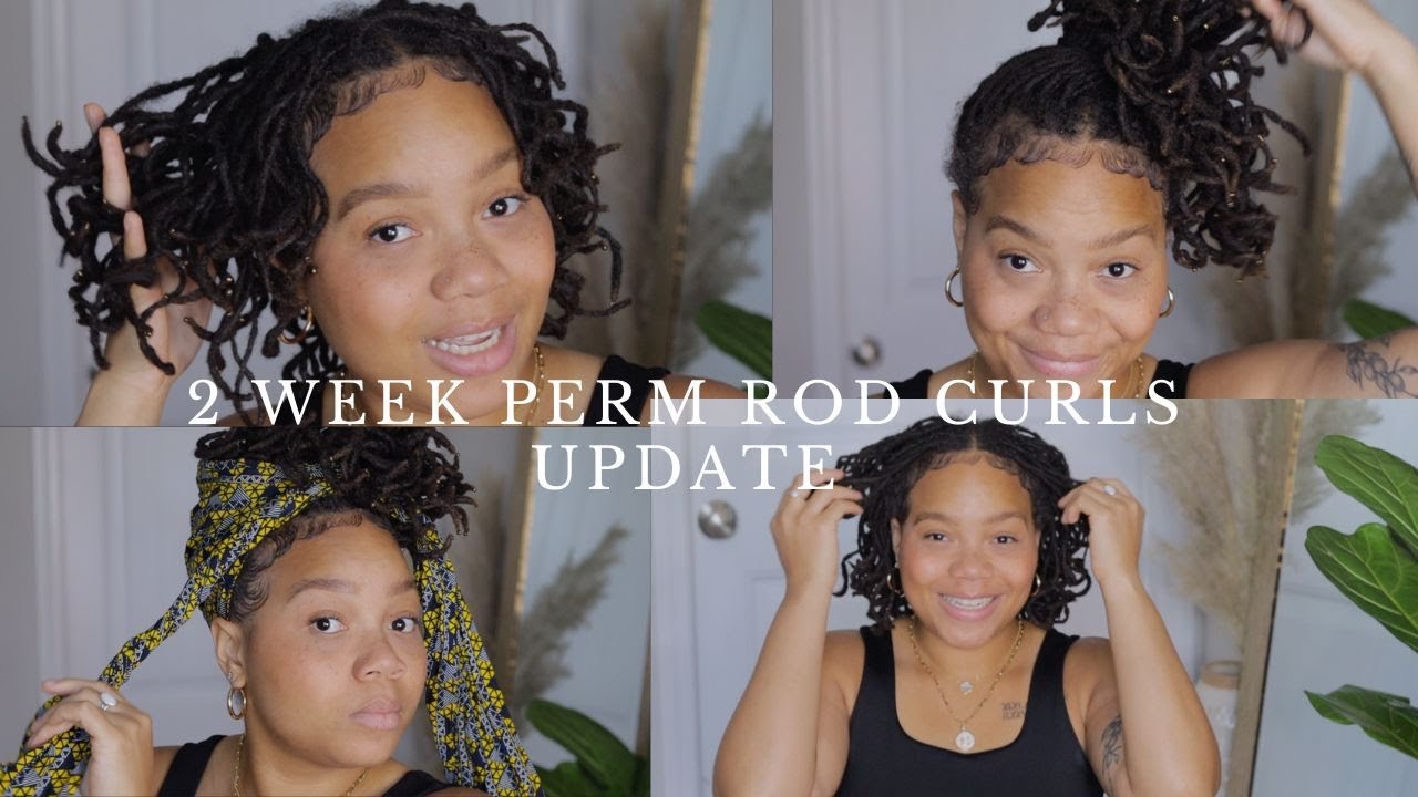 2 Week Perm Rod Update & Styling My Locs - YouTube