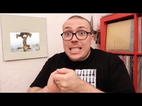 Shellac - Dude Incredible ALBUM REVIEW - YouTube