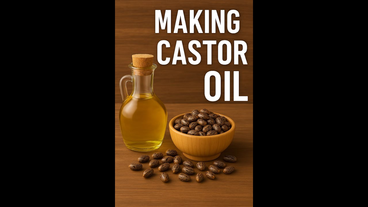 Making Castor Oil - YouTube