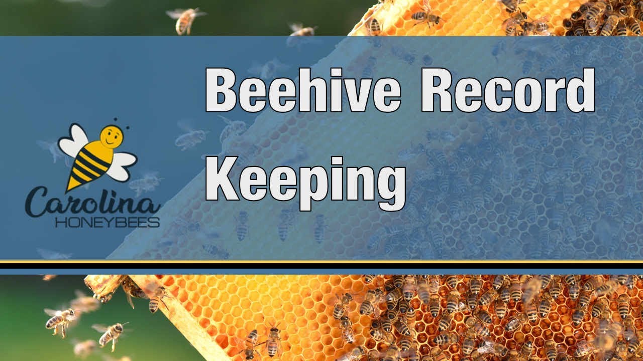 Beehive Records - Keeping Good Beekeeping Records Will Help You Manage ...