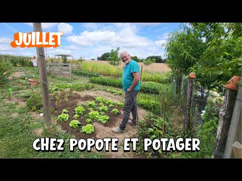 JUILLET 2026 - QUE SEMER ET PLANTER AU POTAGER ENTRE 2 CANICULES?