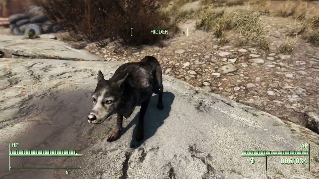 Fallout 4 Lone Wanderer's Dogmeat Sample - YouTube