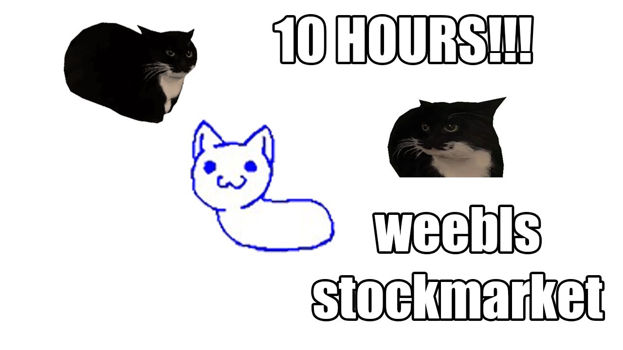 Maxwell Cat Loop 10 Hours - YouTube