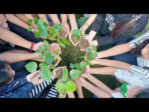NATURE ADVOCACY ... LET'S PLANT TREES🤭 - YouTube