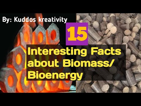 Interesting Facts about Biomass/Bioenergy #Renewal energy-BIOMASS ...