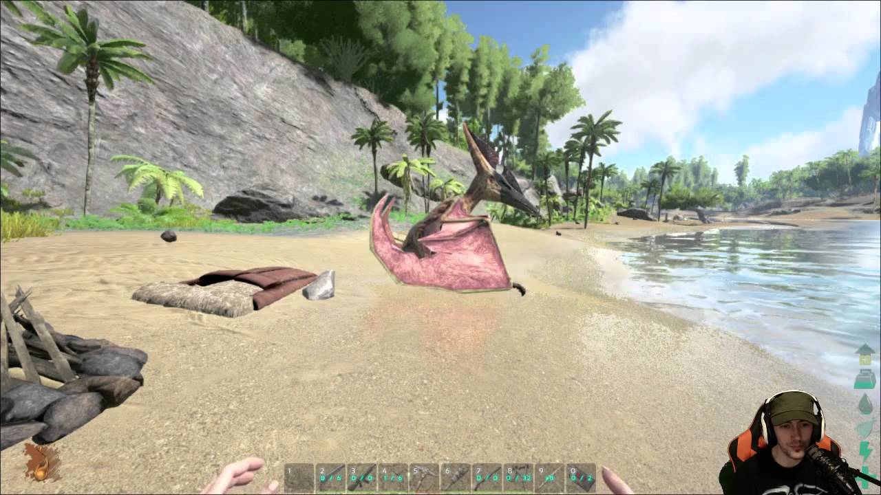 ARK Pterodactyl lands, poops in camp, then flys away - YouTube