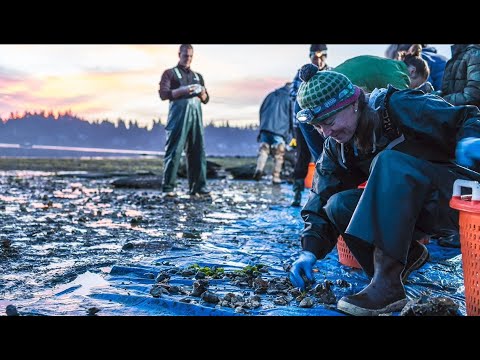Puget Sound Restoration Fund Across the Years - YouTube