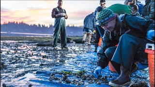 Started Shellfish Farming This Weeked - AR15.COM