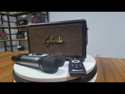 Cyboris Retro karaoke 80W wireless speaker T9, 5 EQ switches, with microphone Support USB/TF/AUX ...