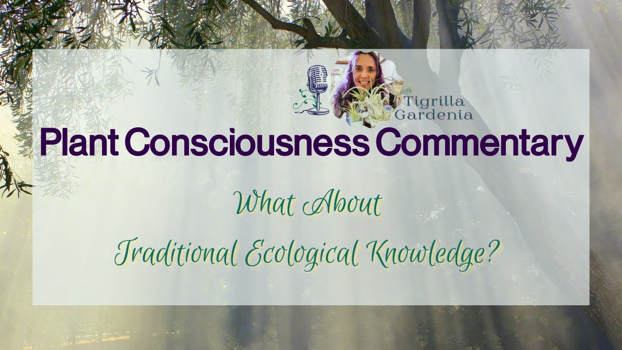 What About Traditional Ecological Knowledge? | Plant Sentience | Plant ...