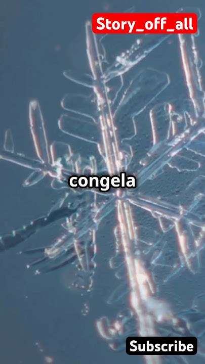 ¿Cómo se forma la nieve? El proceso mágico explicado en segundos ️ ”# ...