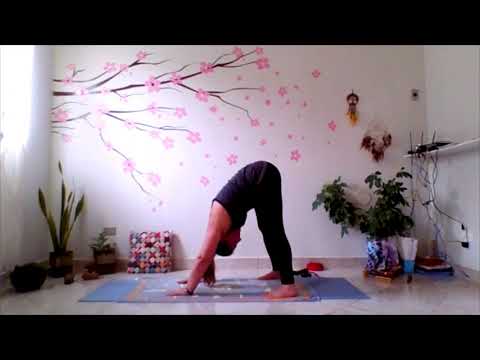 DESAFIO YOGA TODOS OS DIAS! #22