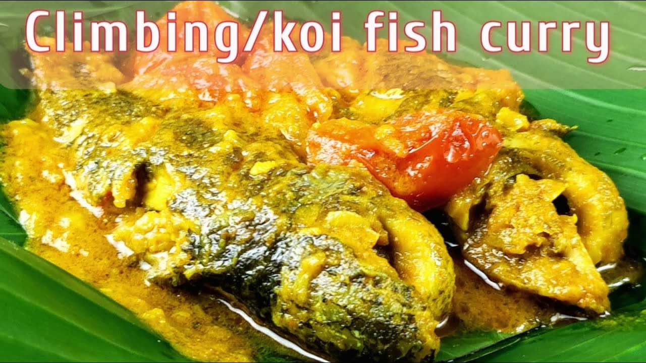 Koi fish curry recipe | কৈ মাছের দোপিয়াজা | Bengali TEL KOI recipe | # ...