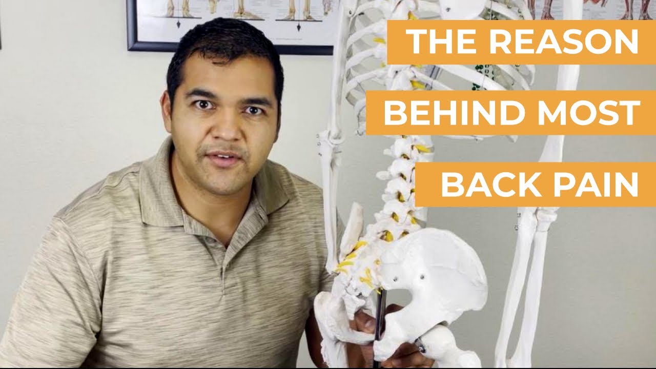 What Is A Muscle Imbalance - Lower Back Pain - YouTube