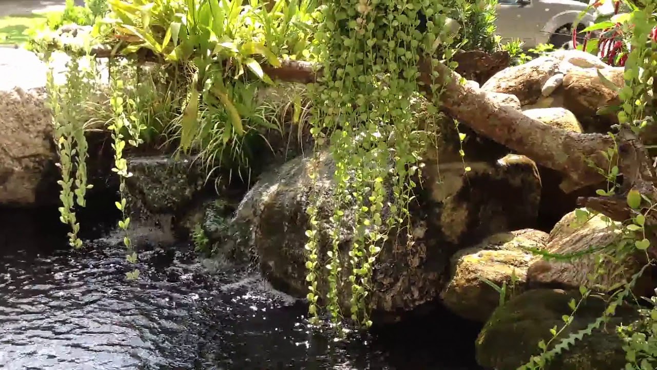 Garden villas and koi pond - YouTube