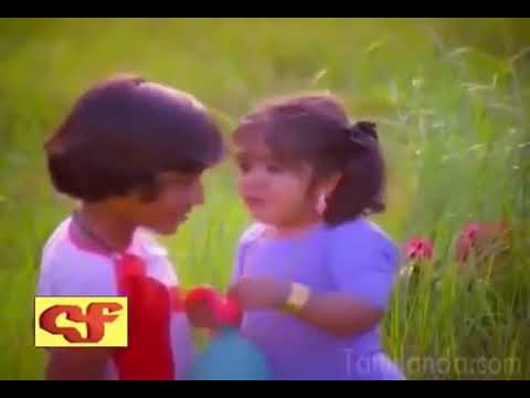 What's app video(78)