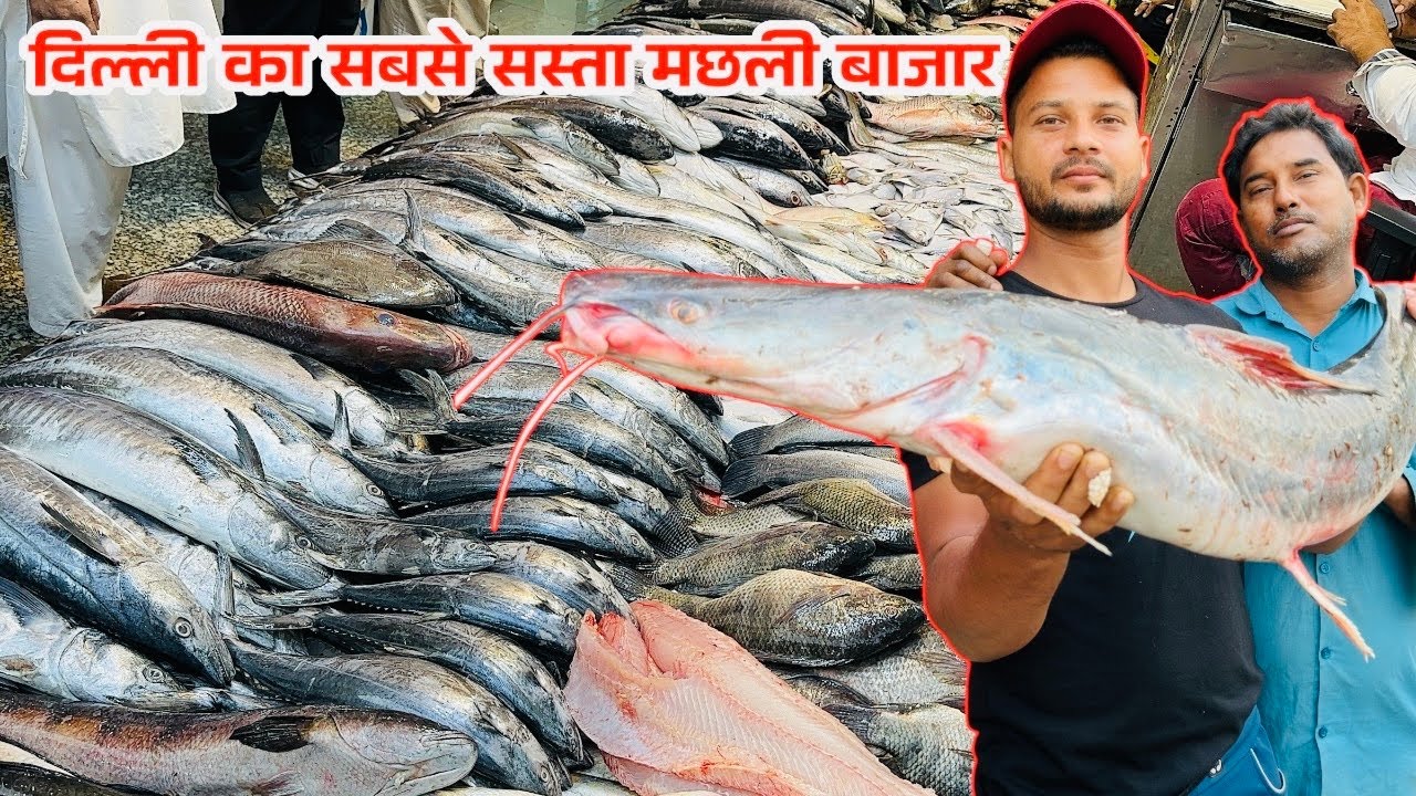 Ghazipur fish mandi Igazipur fish mandi rate today 2024| delhi seafood ...