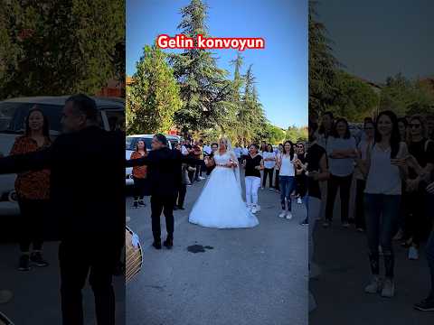 Gelin konvoyu #edirne #trakya #düğün #düğünü #oyunhavası #değirmenyeni