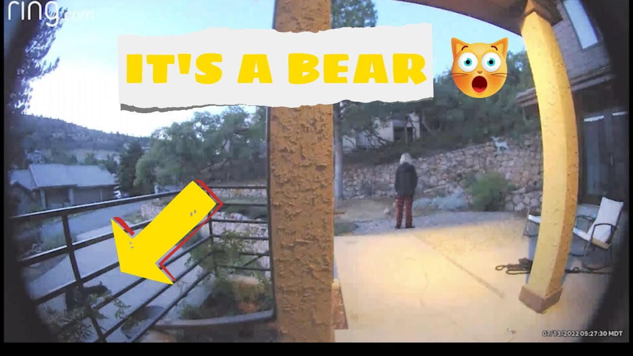 Animals Behaving Badly (Caught on Ring Doorbell) - YouTube