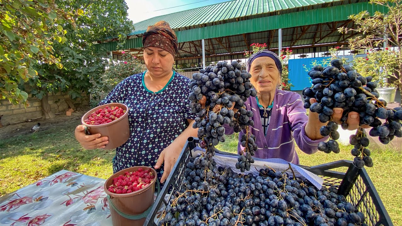 GRAPE AND RASPBERRY | MAKING NATURAL FRUIT JUICE AND JAM - YouTube