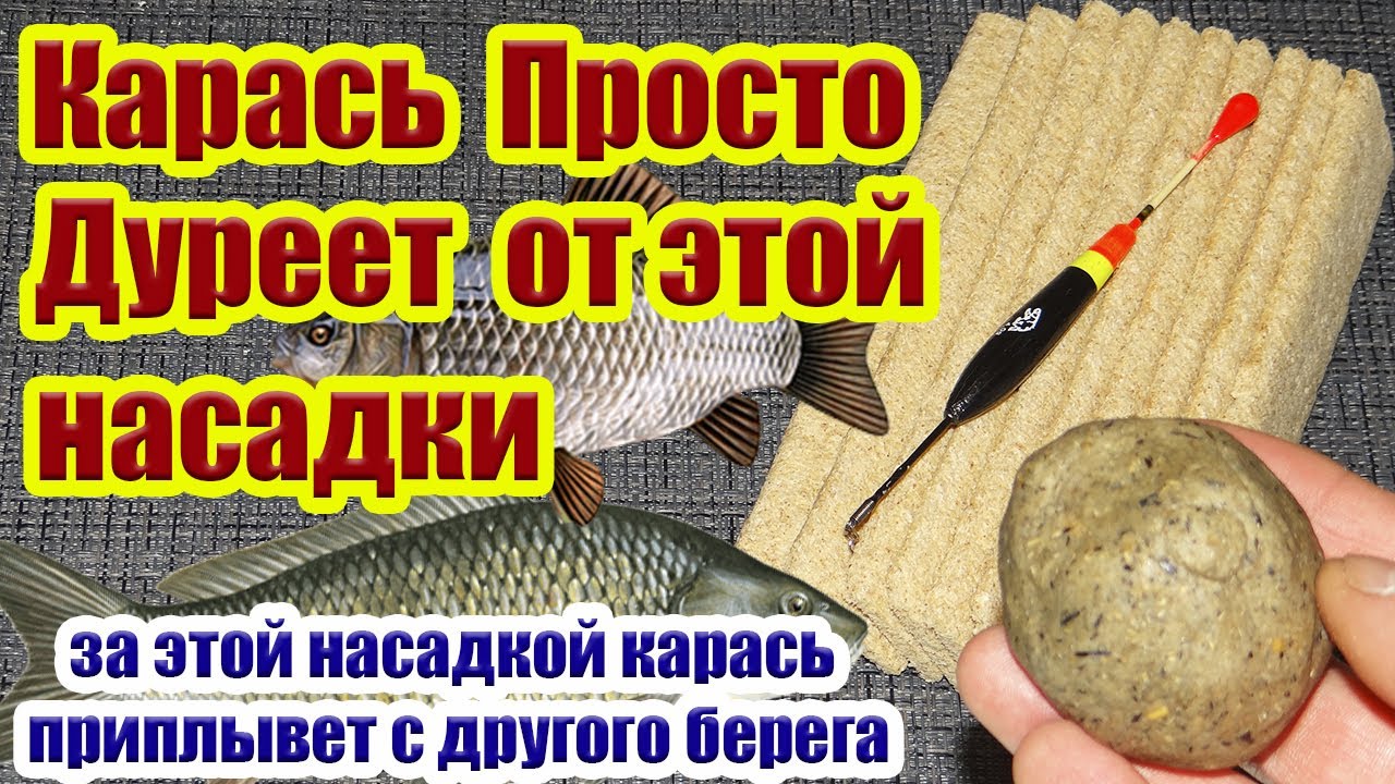 Самая Уловистая Насадка на Карася. Карась Карп Сазан Супер Рыболовная ...