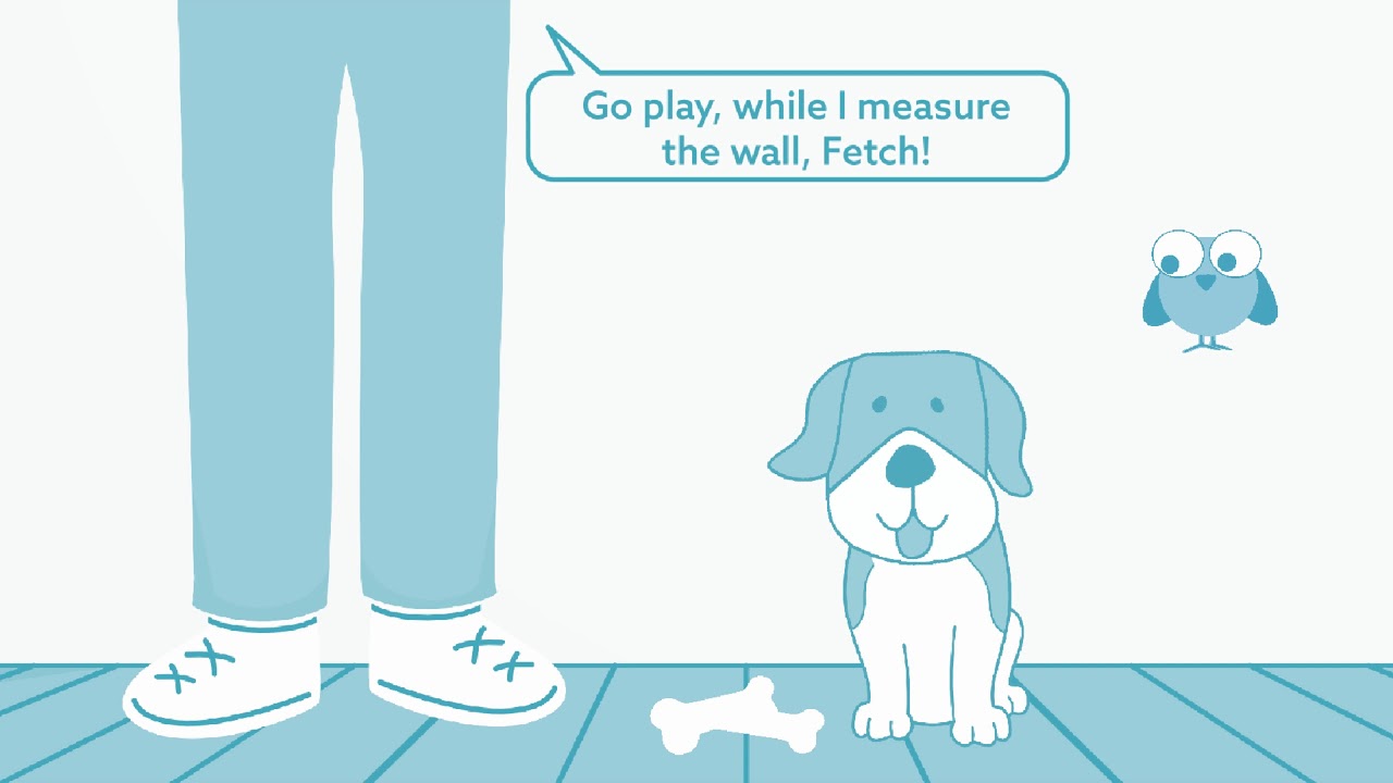 Jet Pet Global - Pet Measure Video - YouTube
