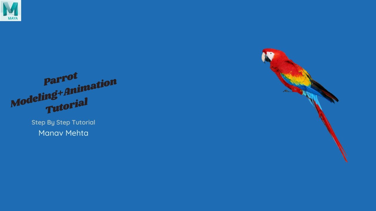 Parrot Modeling + Animation Tutorial in 3D Maya | 6 Min | Lets Animate ...