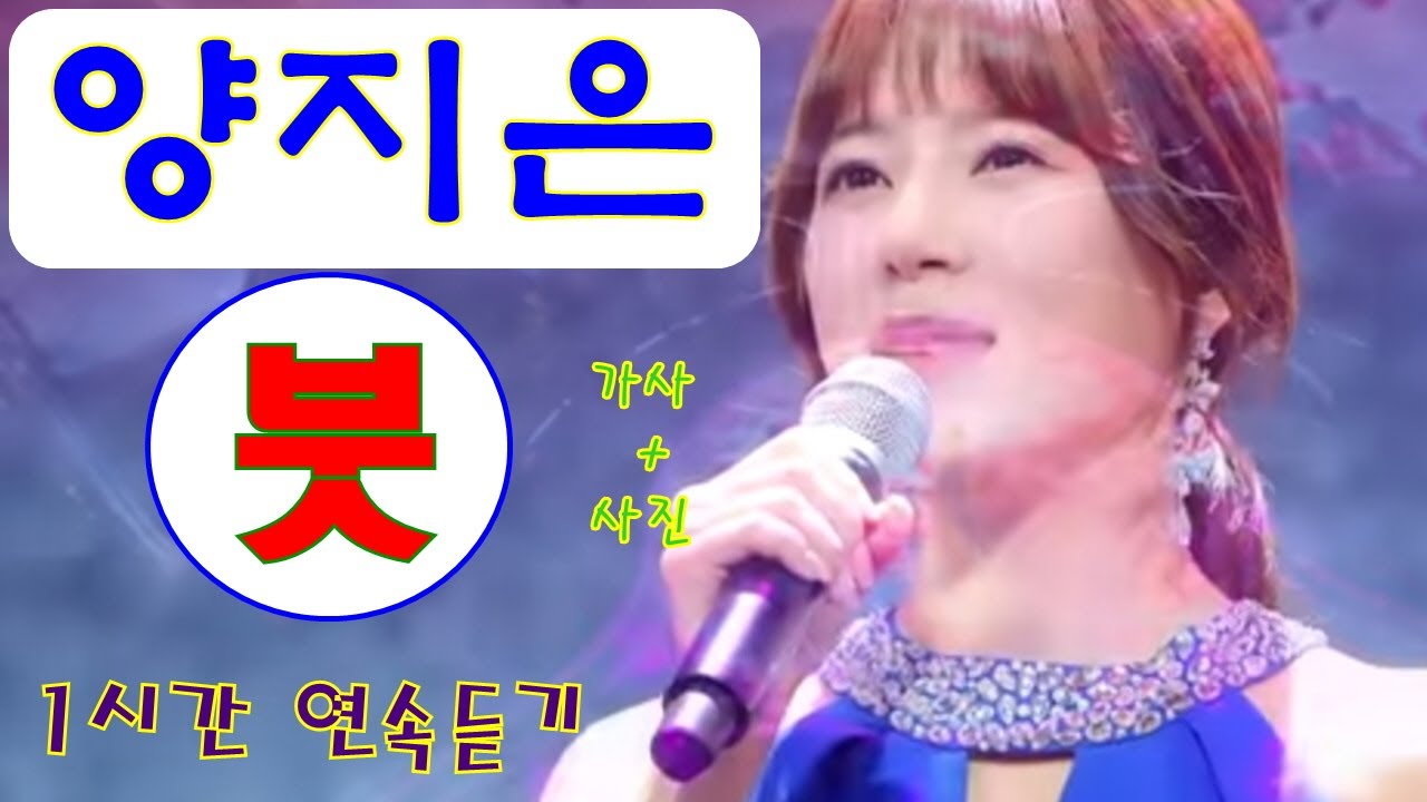 미스트롯2 진 양지은 붓 노래 1시간 연속듣기 전체 가사 자막 포함 사진 연속보기 결승전 최종 결과 진선미 발표 홍지윤