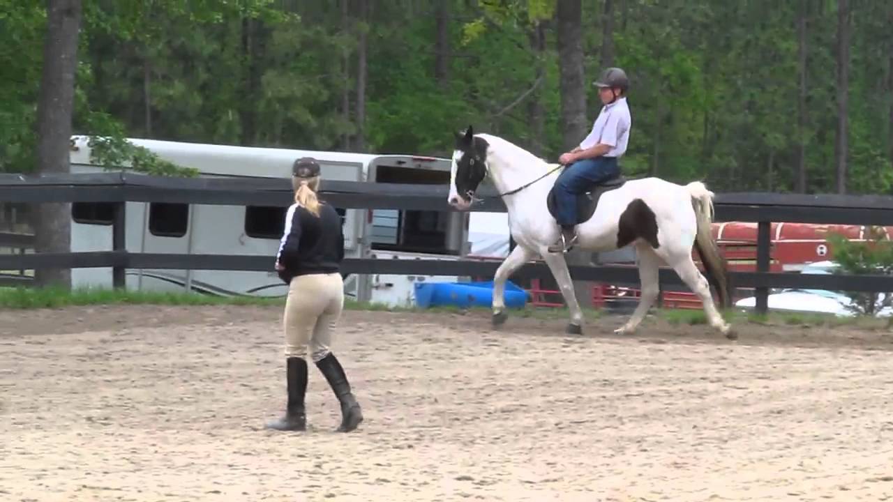 Richard's 2nd dressage lesson - YouTube