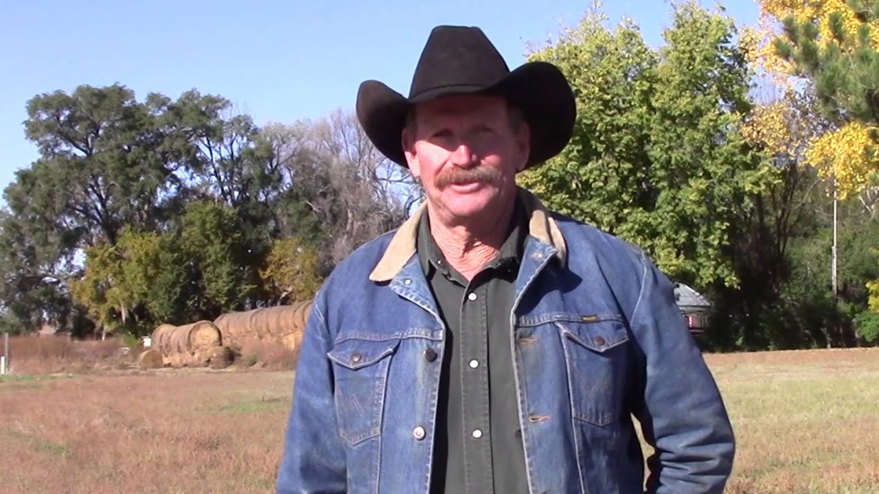 The Limousin Advantage: Frank Daley - YouTube