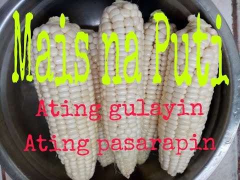 Mais na Puti Lagkitan (White Corn) - YouTube