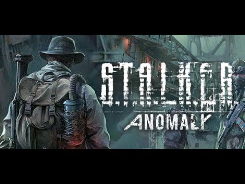 Stalker anomaly heavily modded, Fire fight in the red Forest - YouTube