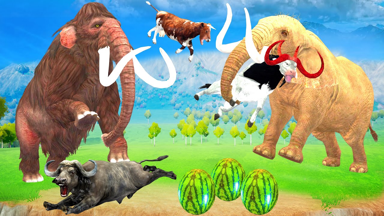 Giant Elephant Chasing Cow Cartoon Buffalo and 2 Big Bulls Vs Woolly ...