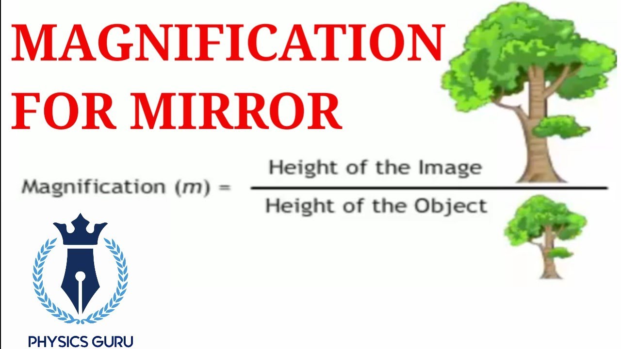 8 MAGNIFICATION BY MIRROR | NCERT | CHAPTER 9 | RAY OPTICS AND OPTICAL ...