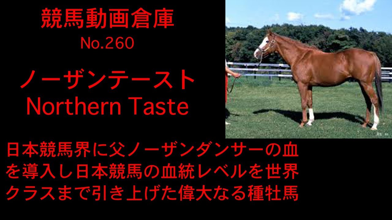 【競馬】ノーザンテースト Northern Taste【No 260】 - YouTube