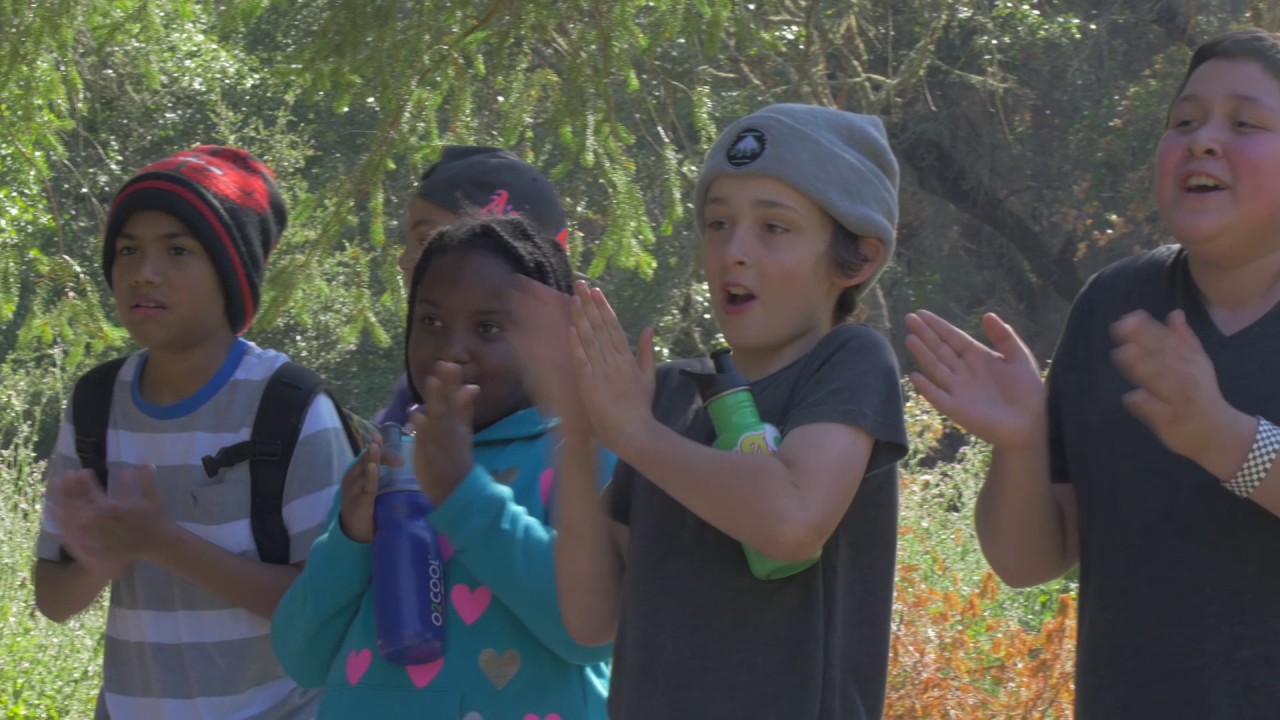 Milagro Foundation video - YouTube