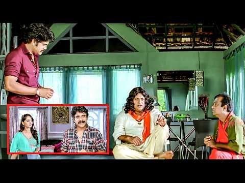 Akkineni Nagarjuna, Anushka & Brahmananadam Latest Movie Ultimate Comedy Scene |  @KiraakVideos