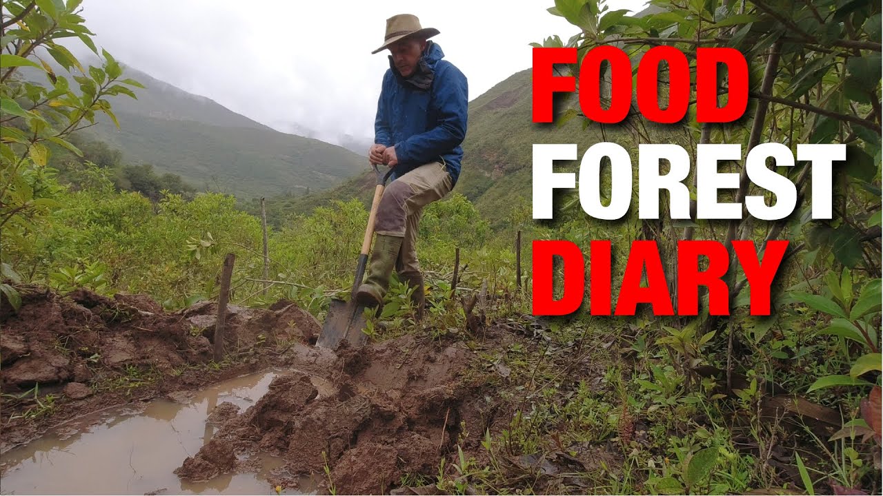 Food Forest Diary | Swales | Bees | Trees - YouTube