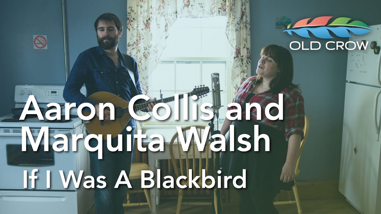 Aaron Collis and Marquita Walsh - If I Was A Blackbird (Old Crow ...