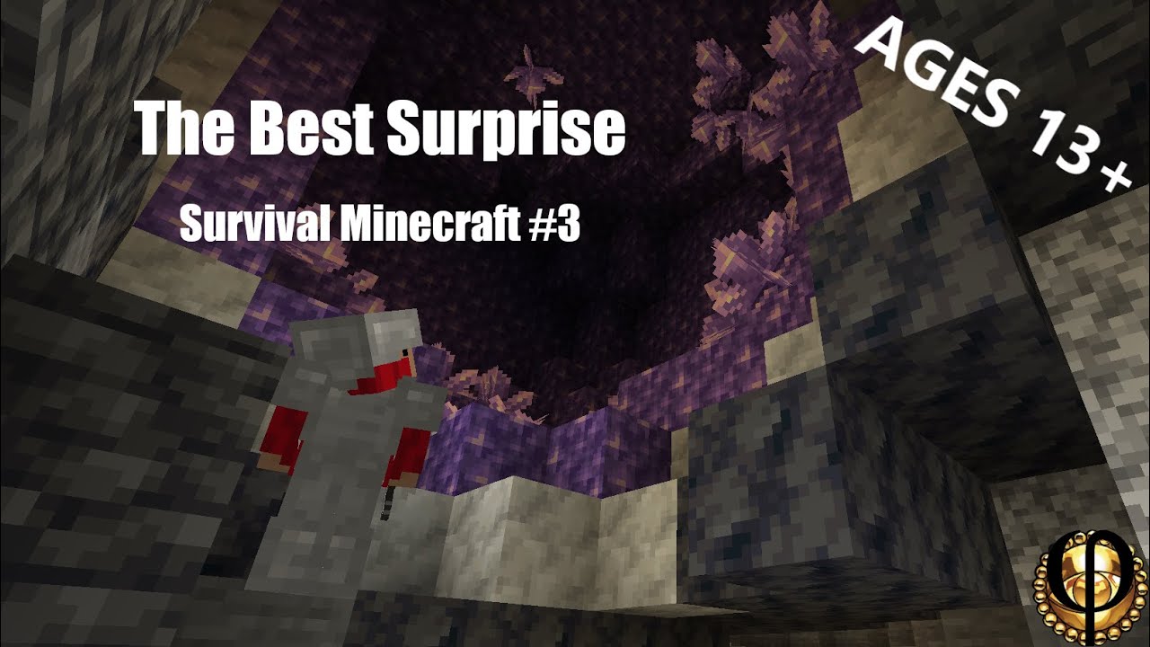 The Best Surprise - Survival Minecraft #3 - YouTube