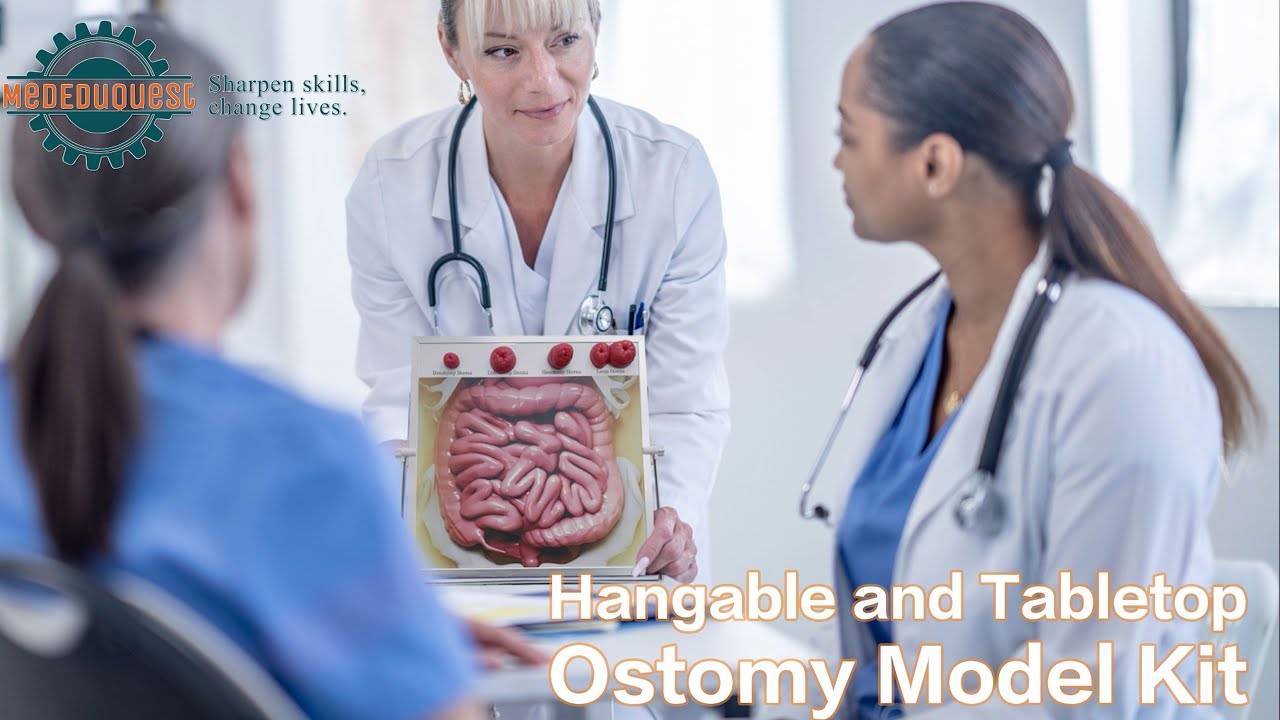 Hangable and Tabletop Ostomy Model Kit for Ostomy Care Training - YouTube